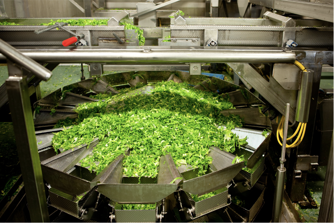 What is Food Processing and its Impacts? | Tips for a Healthier Diet